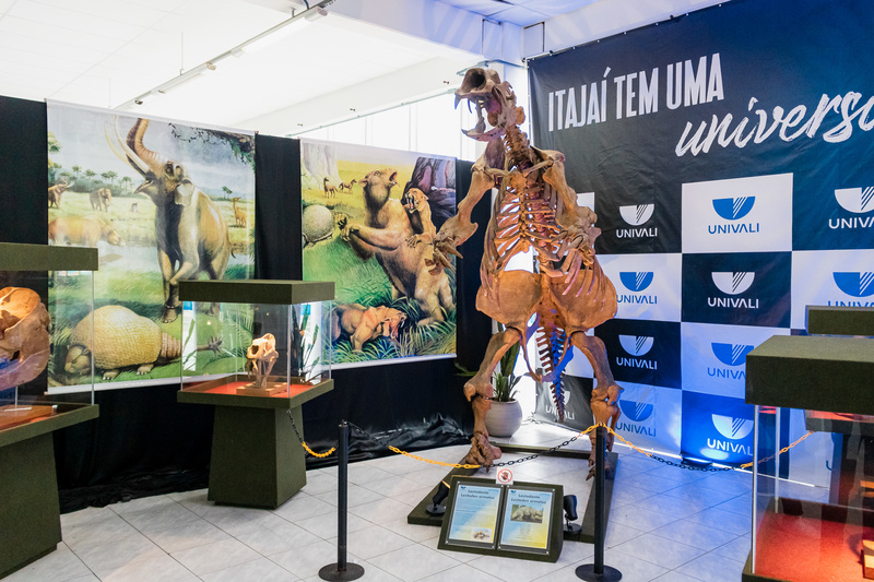 Univali vai promover mais de 100 atividades na The Ocean Race - Univali
